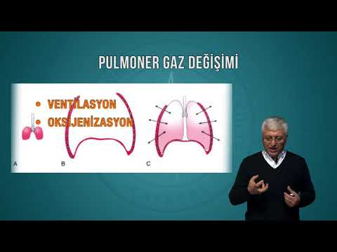 Mekanik Ventilasyon 1  bölüm