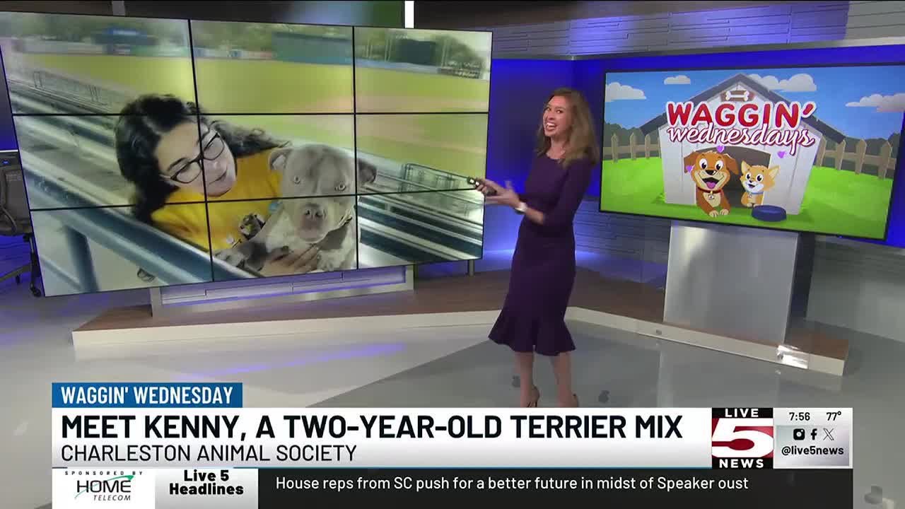 VIDEO: Waggin’ Wednesday: Meet Kenny - YouTube