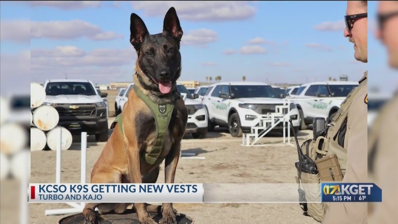 KCSO K9s get new vests - YouTube