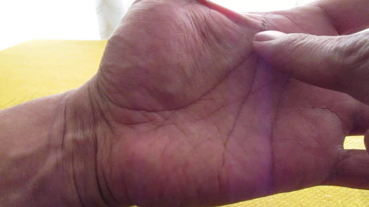 SABES QUE PODEMOS SABER EN NUESTRAS LINEAS DEL CORAZóN - YouTube