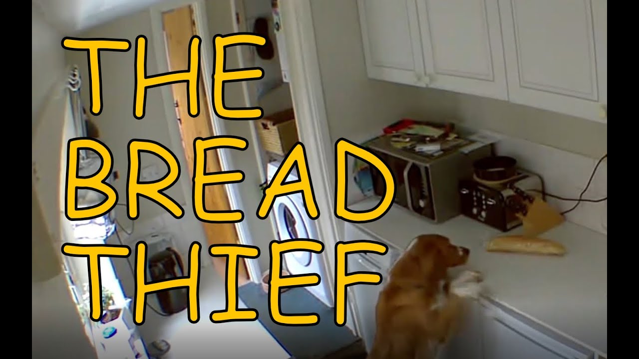 The Bread Thief | Ruby (Sofia the supermomma) from Takis Shelter - YouTube