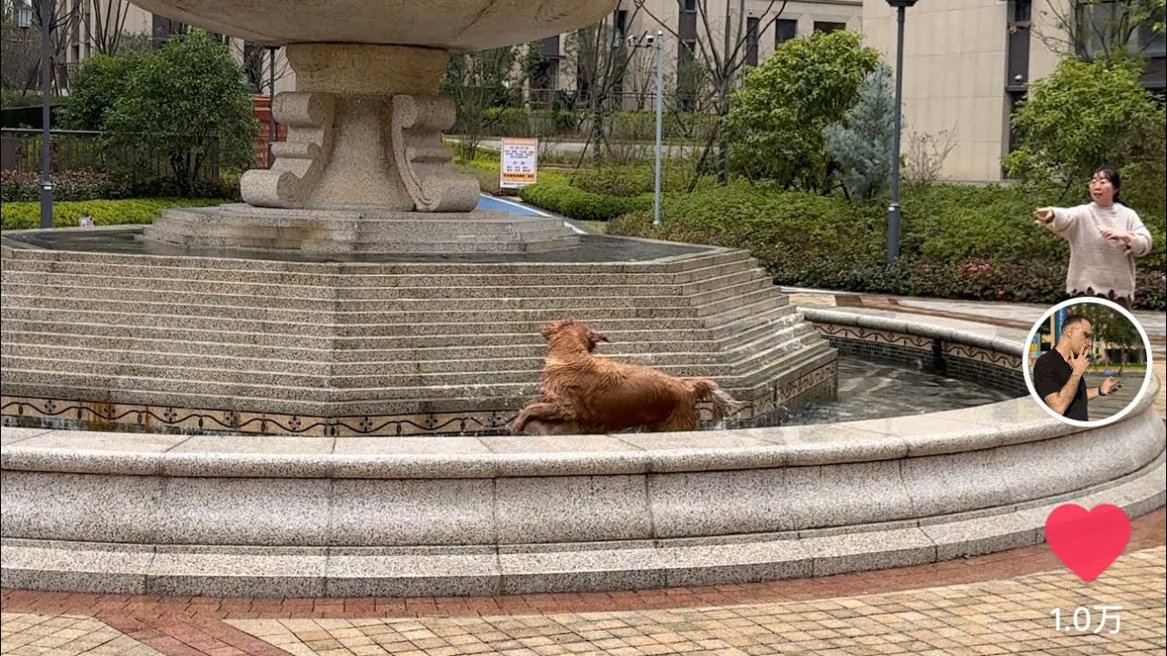 800k views , 10k likes and 3k comments in just 24 hours !!!! - YouTube