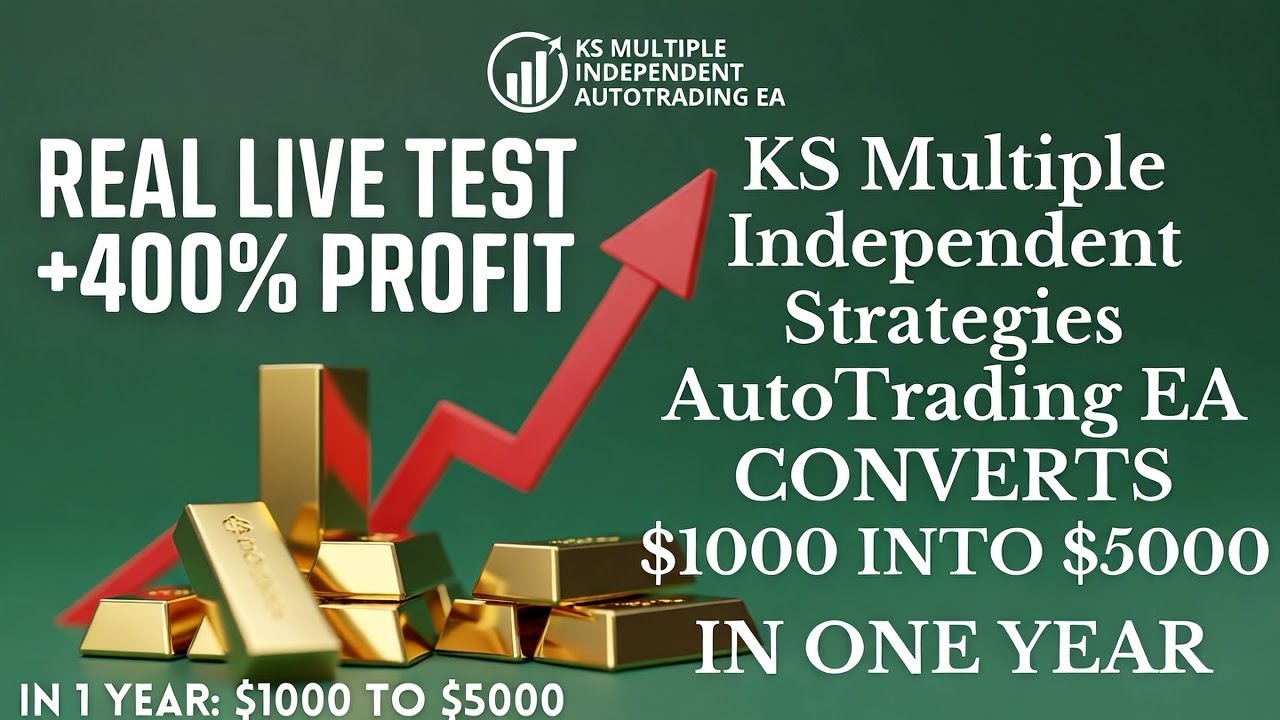 $1000 → $5000 in one year real/live testing result(400% return, eye ...