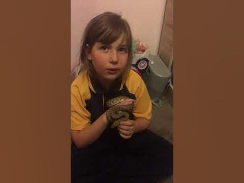 My girls pythons part 1 - YouTube