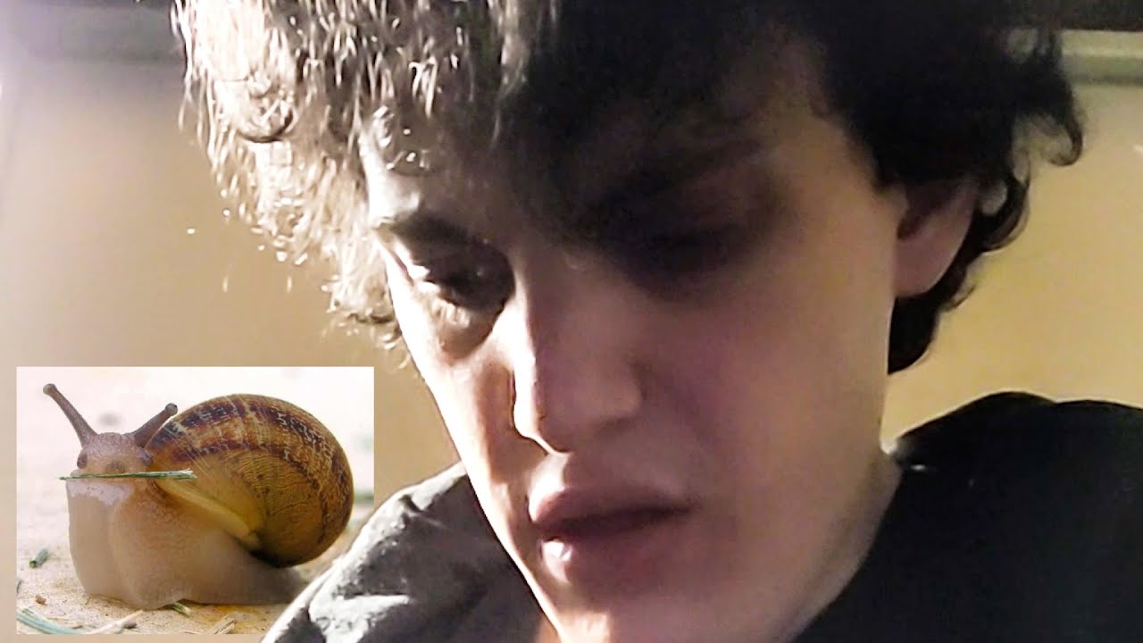 How it feels when you accidentally step on a snail - YouTube