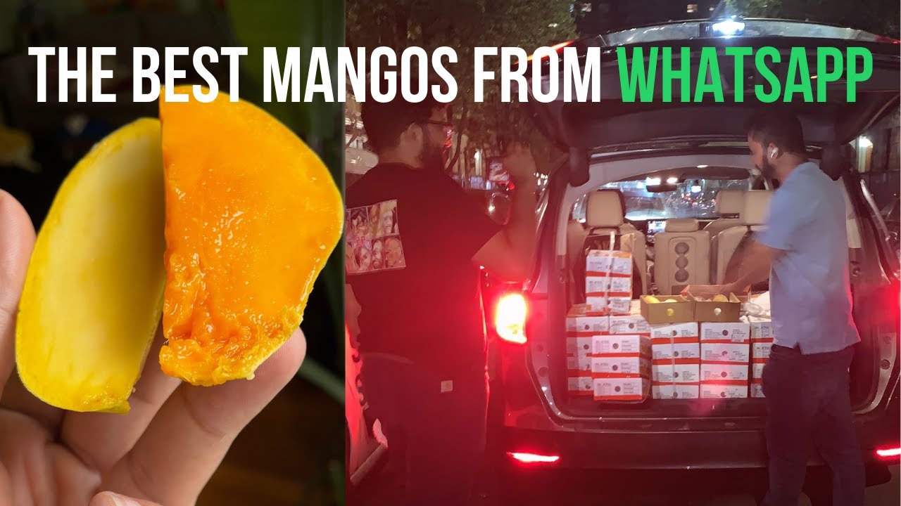 The WhatsApp Mango Dealer Who Delivers the Rarest of Mangos by Van ...