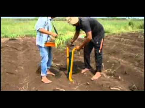 Planting machine - YouTube