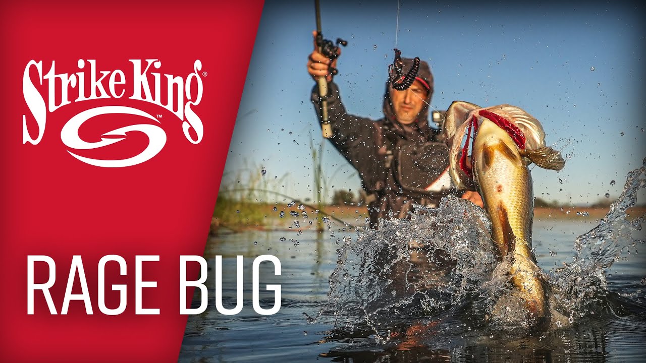 RAGE BUG ***STRIKE KING TV*** - YouTube