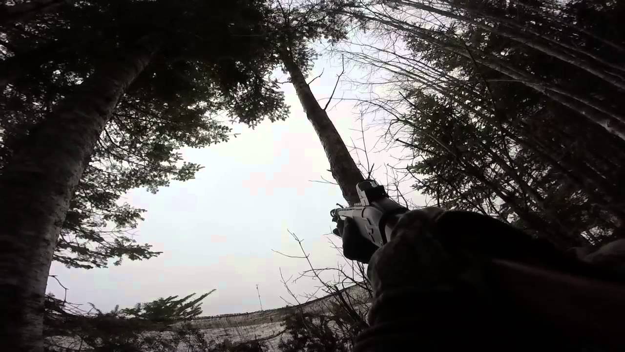 Crow Hunting with Shotgun and gopro - YouTube