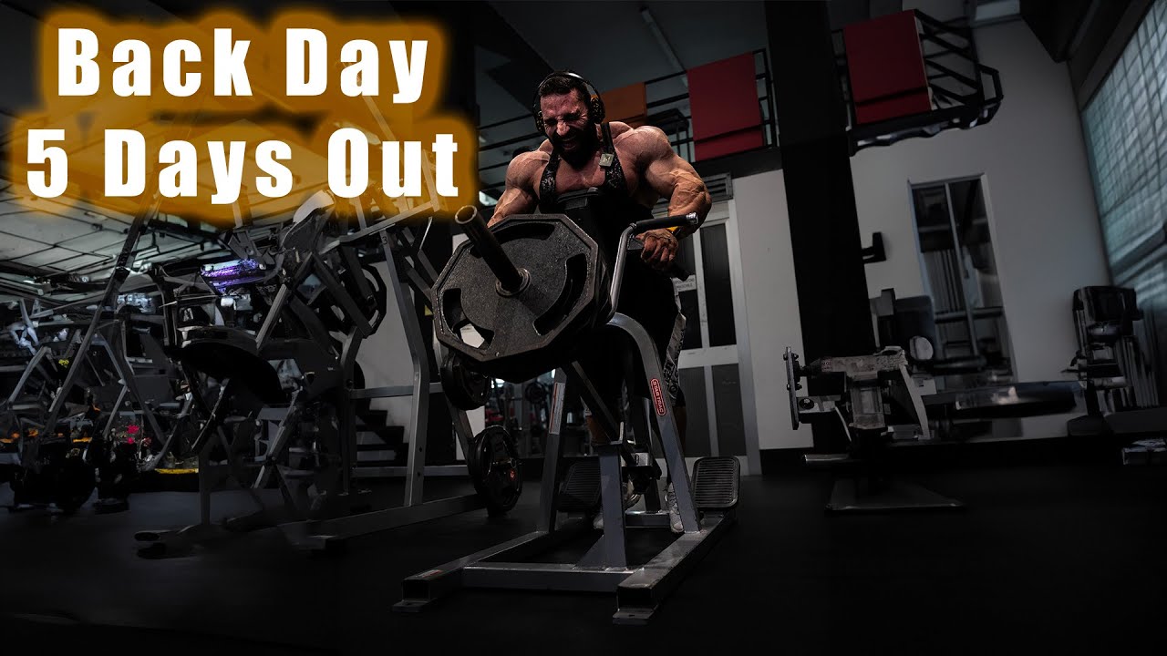 BACK WORKOUT | 5 GIORNI all'Olympus Pro - YouTube