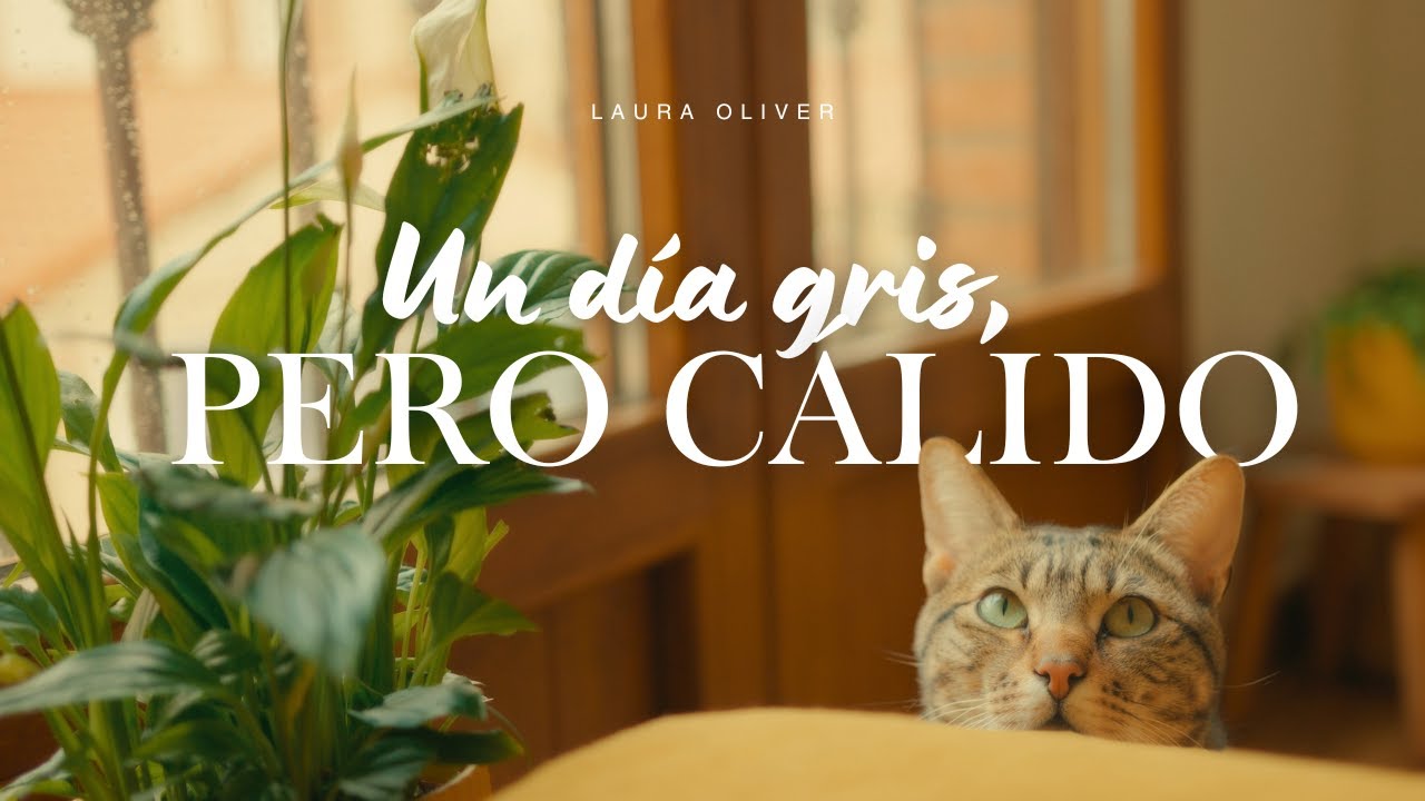 Un día gris, una comida cálida y aprender a soltar - YouTube