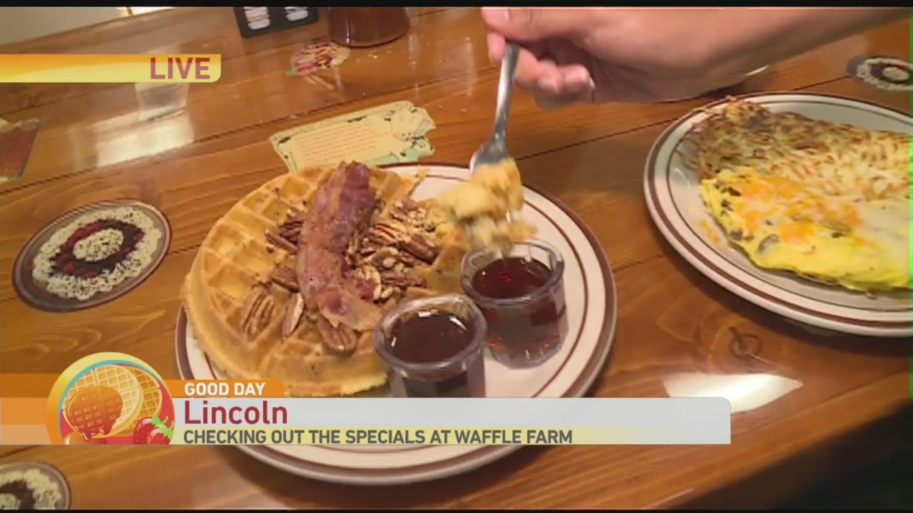 Waffle Farm - YouTube