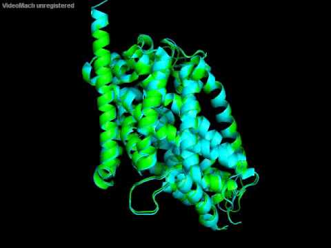 My First Pymol Movie (3F3E & 3F3A Protein Alignment) - YouTube