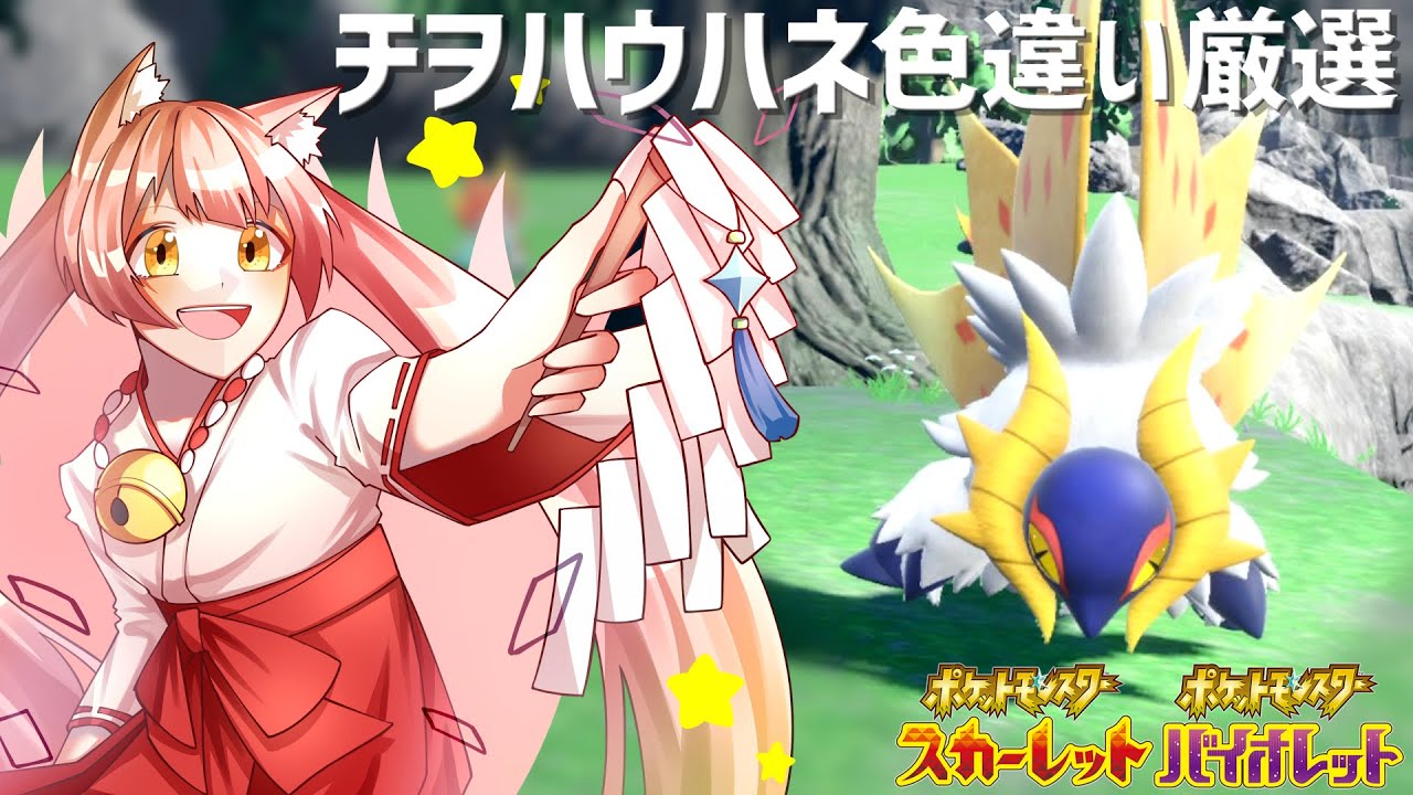 【ポケモンsv】色違いチヲハウハネ厳選【ポケモンスカーレット・バイオレット】 Youtube