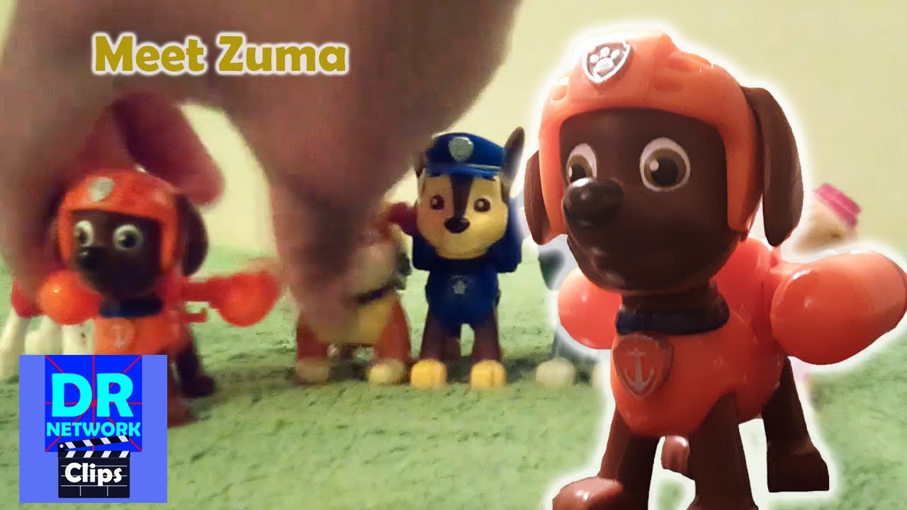 Meet Zuma from the PAW Patrol - YouTube