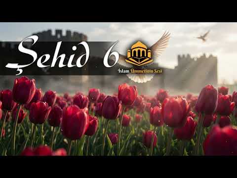 Şehid 10/6 Xayinan şer danîne welatê Kurdistanê