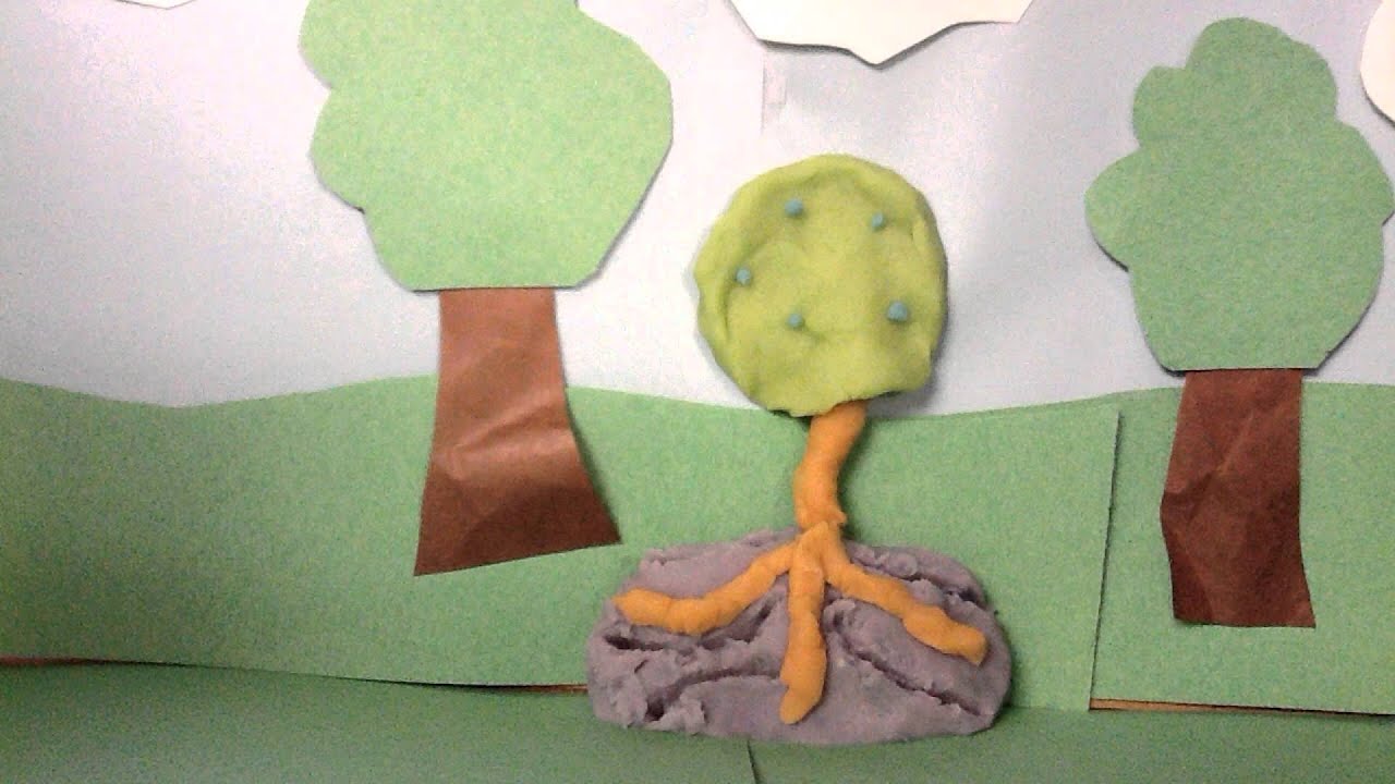 Plant Root Growth Stop Motion - YouTube