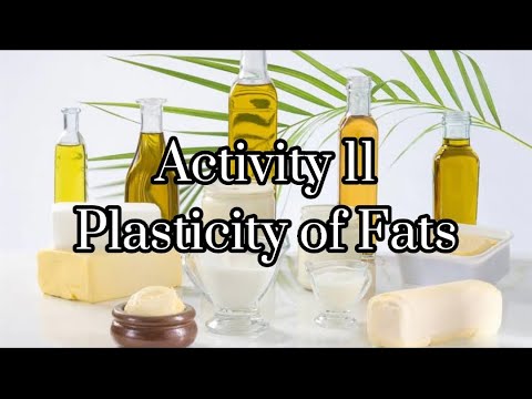Activity 11 I PLASTICITY OF FATS - YouTube