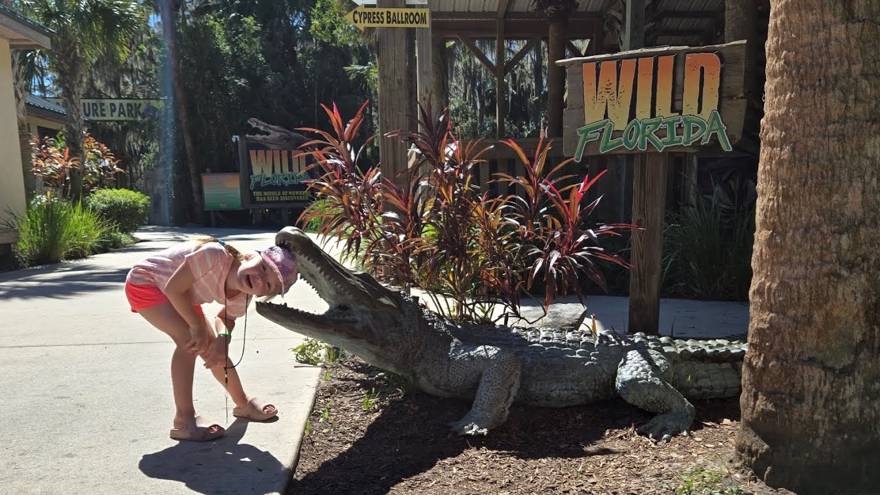 Wild Florida Gator Park - YouTube