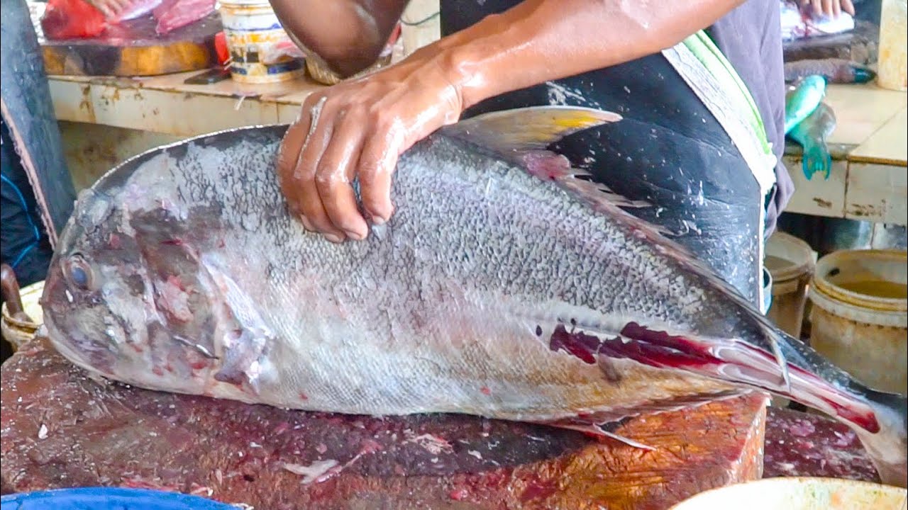 SPEEDY FISH CUTTING SKILLS IN INDONESIA FISH MARKET 2023 - YouTube