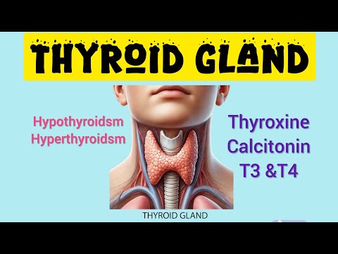 Thyroid glands and  its harmones Hypothyroidism and Hyperthyroidism Thyroid glands functions