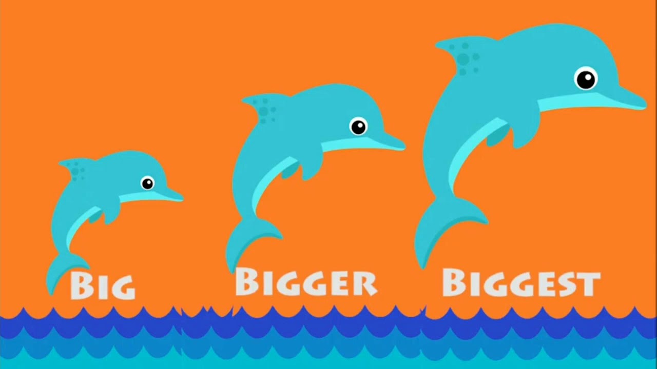 Biggest Smallest YouTube Biggest Smallest YouTube