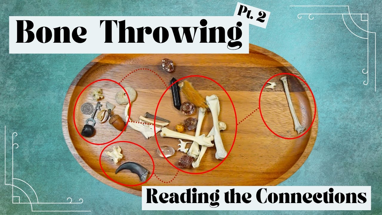 How to Read the Bones Together: Interpreting Connections in Bone ...