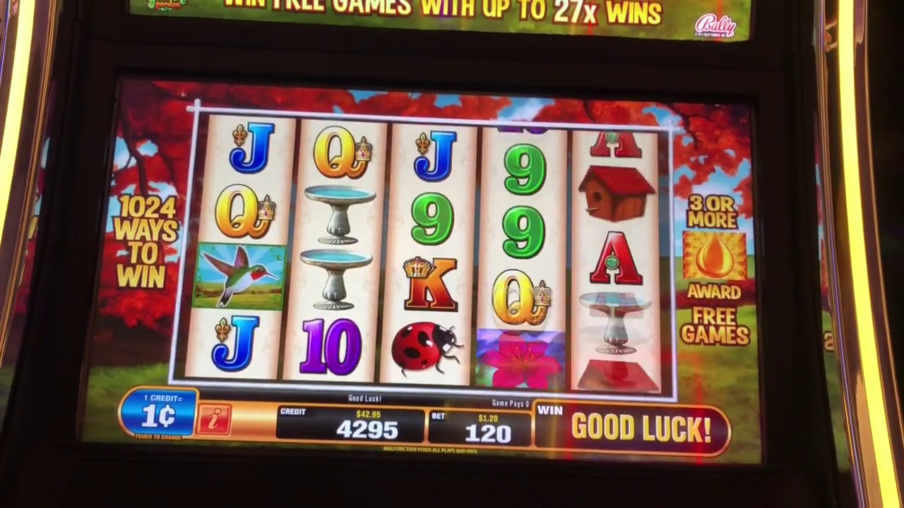 Live play on hummingbird honey slot machine with Ann b slot videos ...