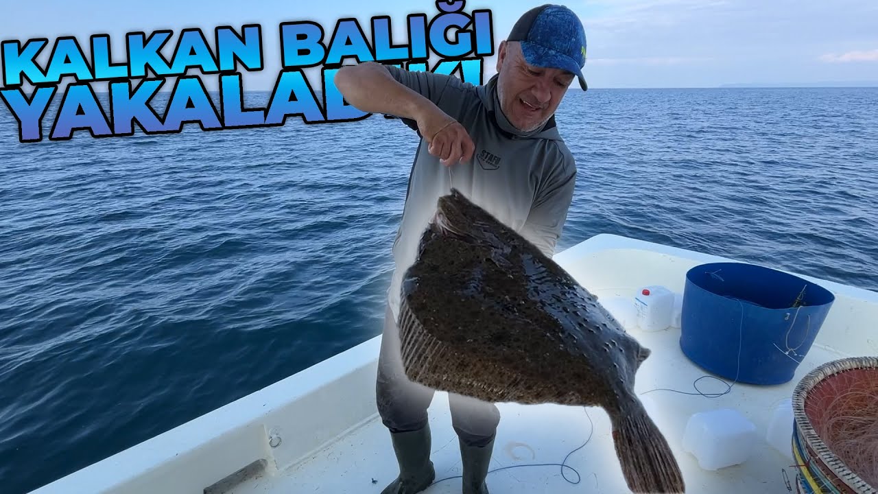 İLK DEFA KALKAN BALIĞI YAKALADIK! | GÖKÇEADA'DA BİR İLK! - YouTube