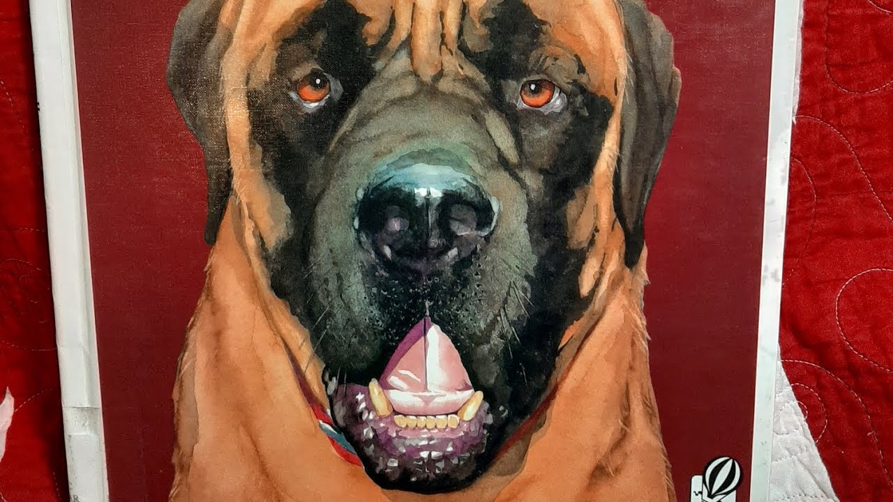 Sit, Truman! - YouTube