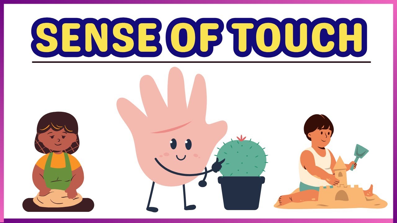 SENSE OF TOUCH | SKIN | FIVE SENSES | SENSES FOR KIDS | EDUCATIONAL ...