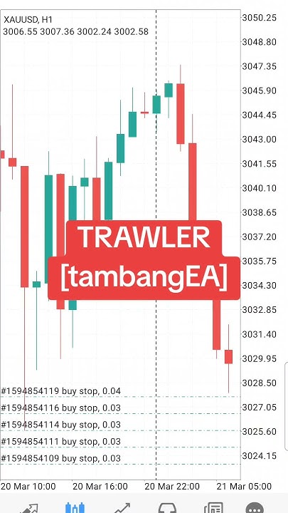 TRAWLER [tambangEA] #forex #trawler #grid #metatrader #mt4 #mt5 #tambangea - YouTube