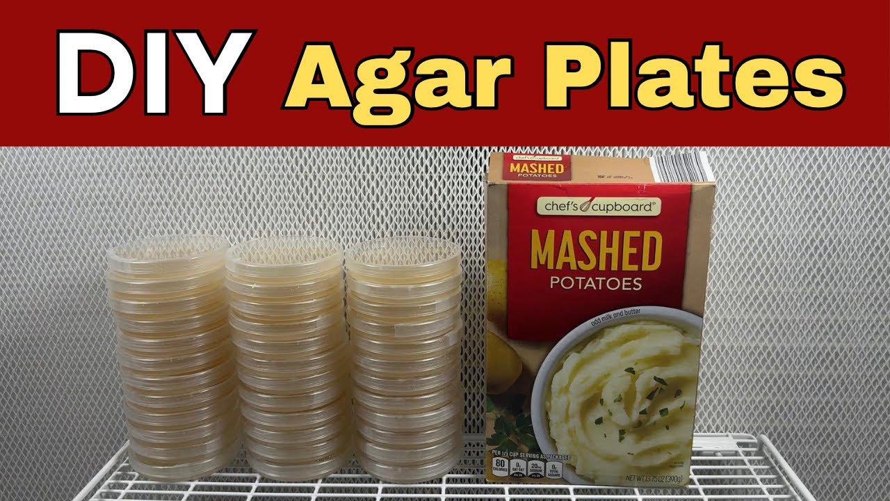 How to Make Agar Plates with Potato Flakes - YouTube
