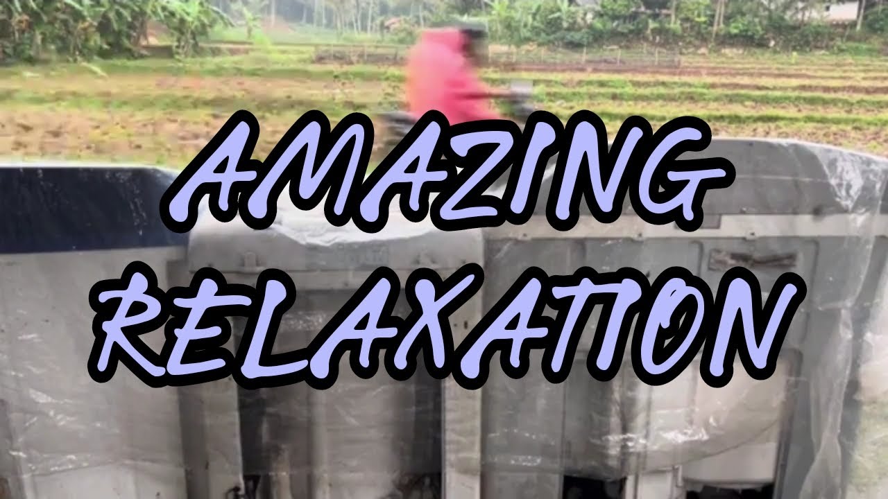 Amazing Relaxation - YouTube
