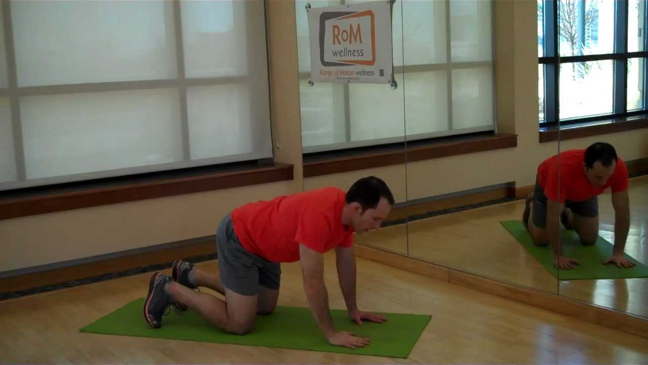 ROM-Wellness quadruped with rotation or "reach-backs" - YouTube