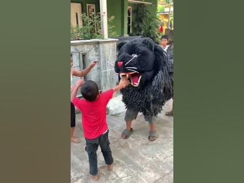 Bocil digigit can macanan‼️ - YouTube