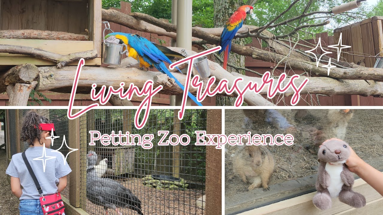Living Treasures Wild Animal Park Moraine | Interactive Zoo ...
