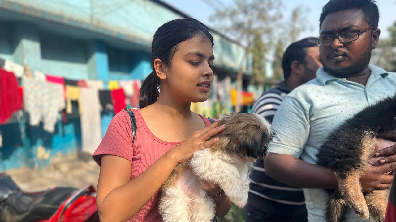 Kolkata ka pet Market chale ? || mummy nahi maan rahe || Galif street ...
