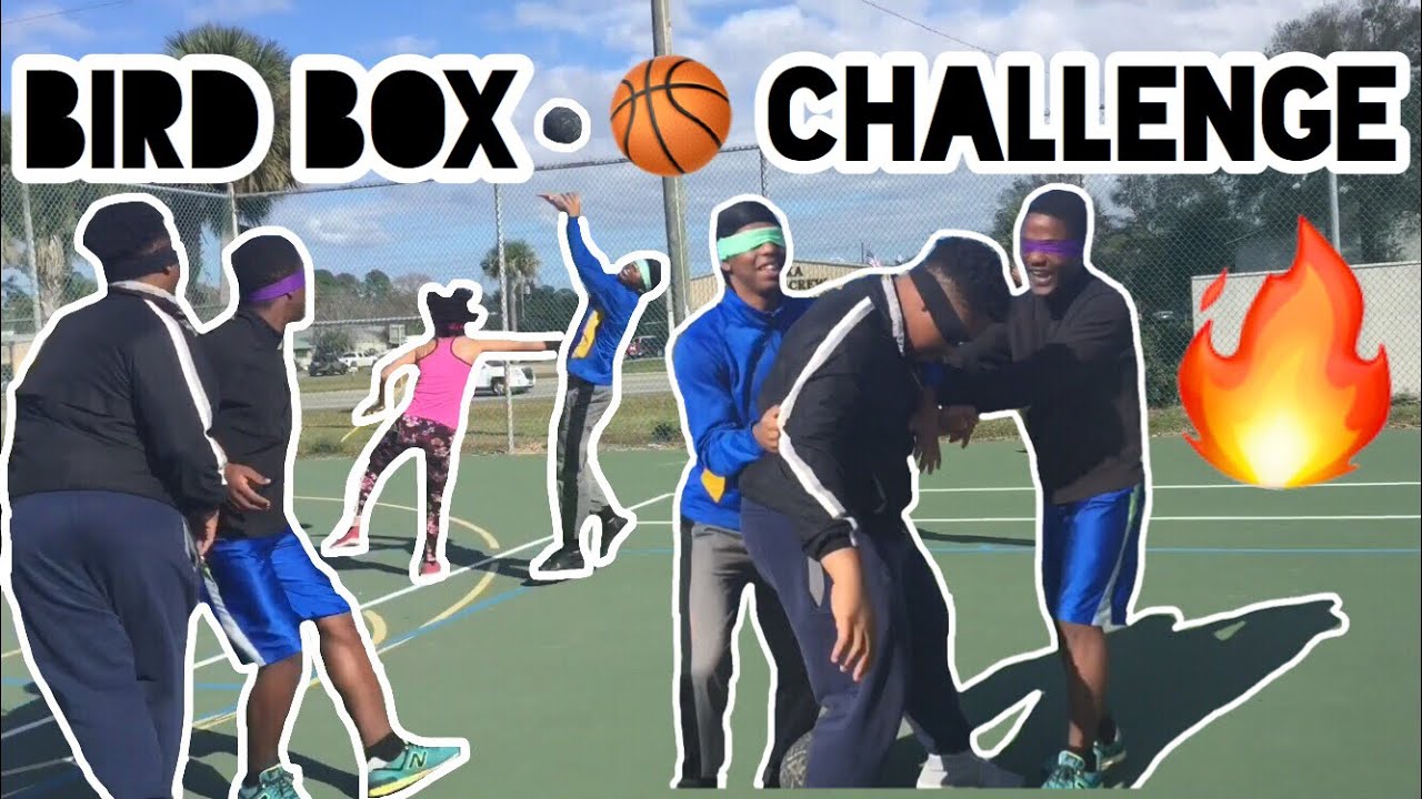 BIRD BOX BASKETBALL CHALLENGE! (BLINDFOLDED) - YouTube