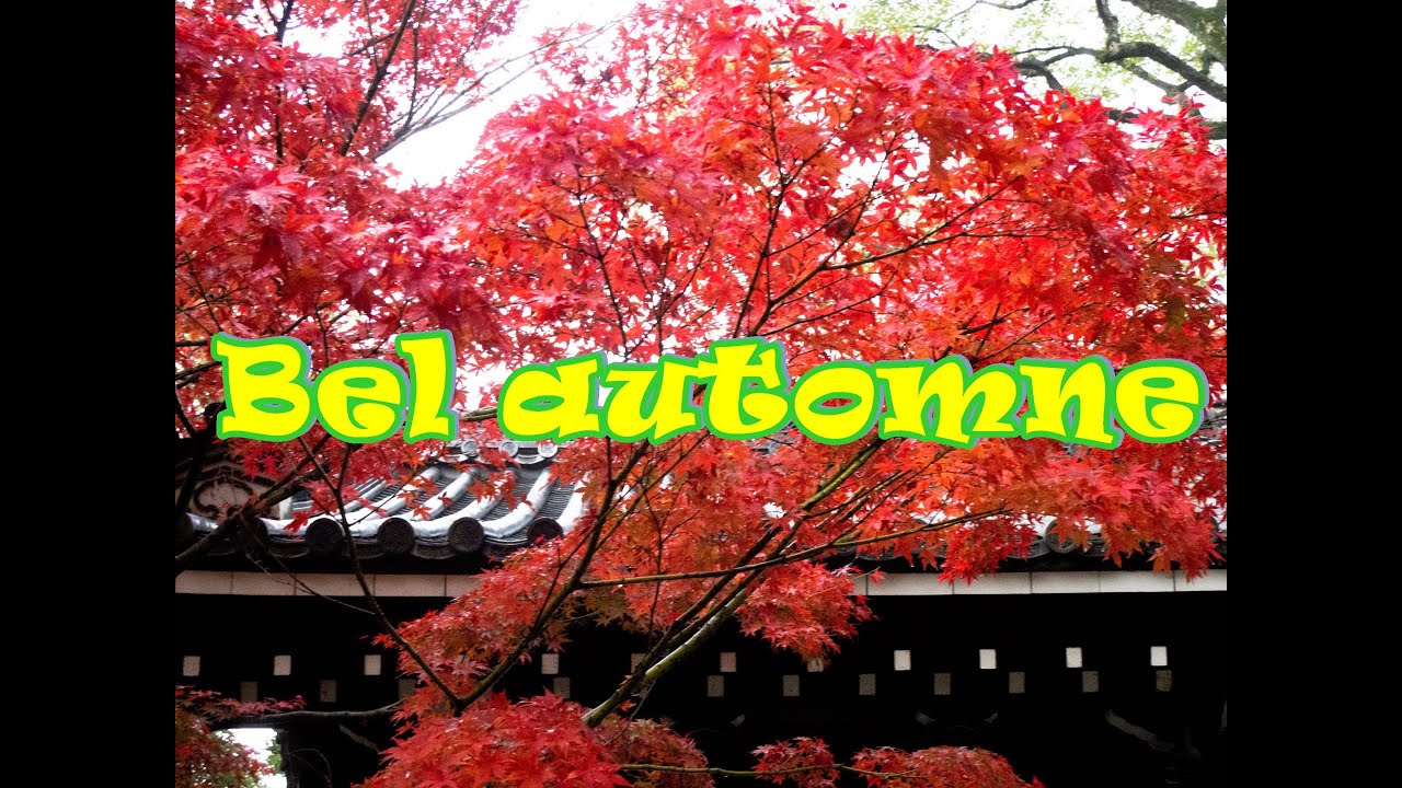 Bel automne - YouTube