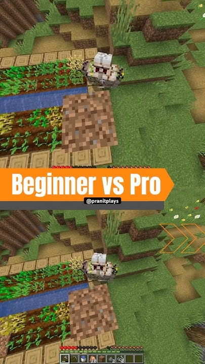 Beginner vs Pro Playing Minecraft - YouTube