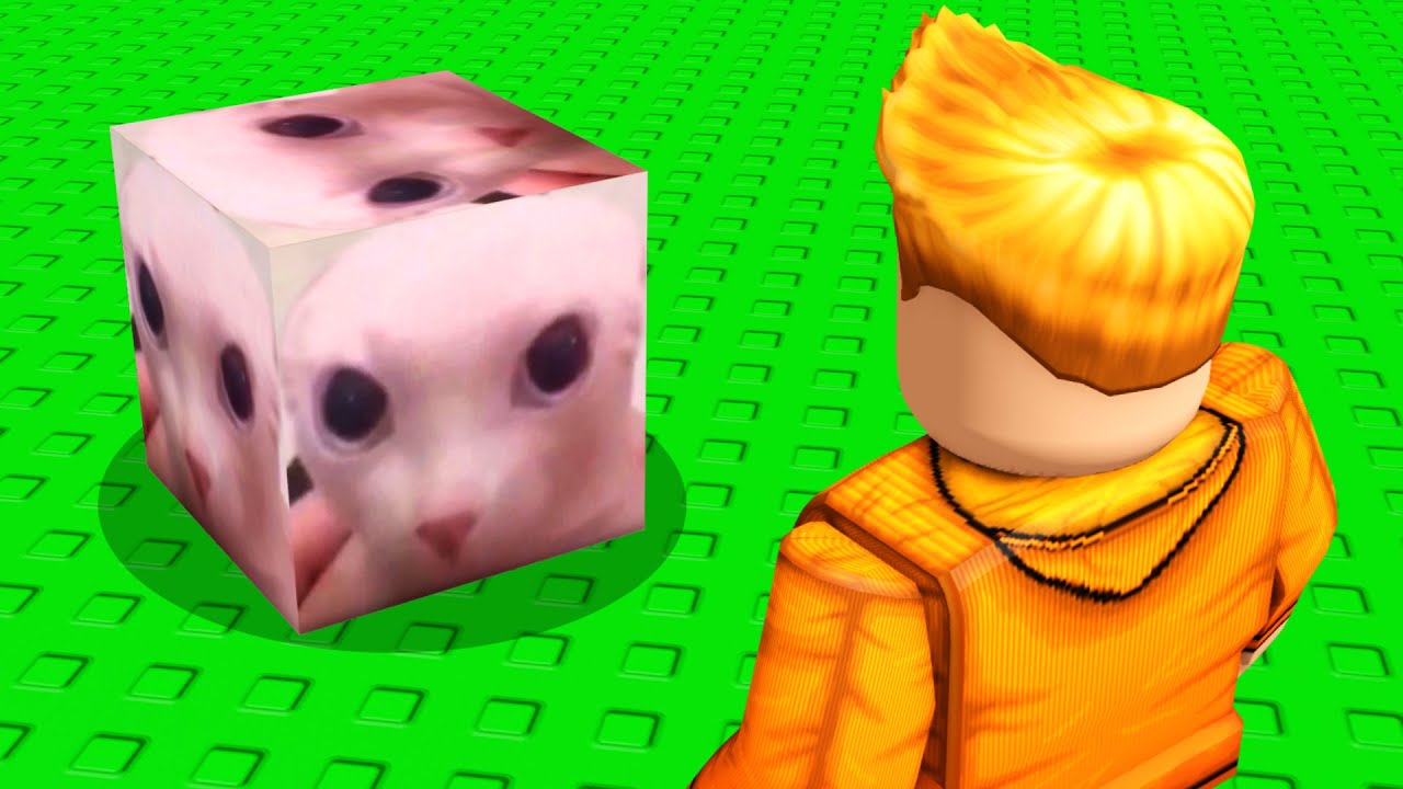 ROBLOX RAISE A BINGUS - YouTube