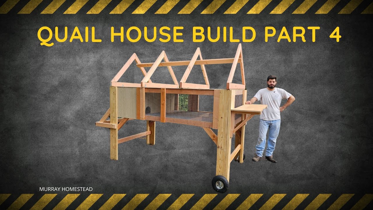 How to Build a Quail House: Part 4 - YouTube