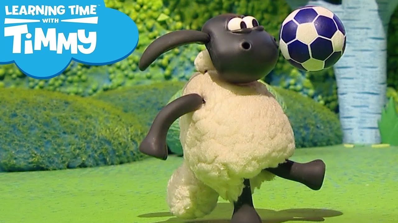Timmy's Favourite Things / Let's Make a Den | Learning Time with Timmy ...