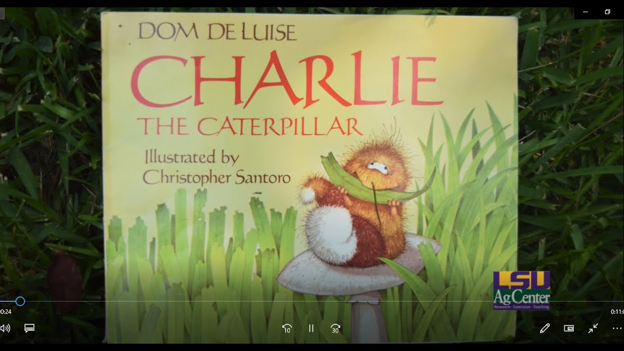 StoryTime Charlie the Caterpillar - YouTube
