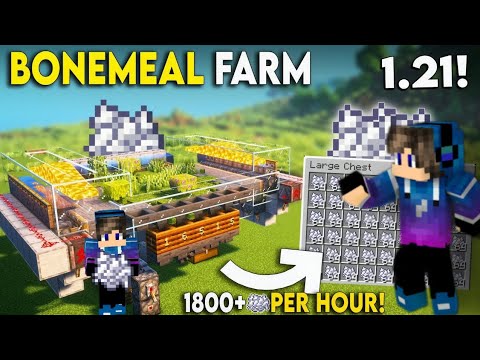 I Built an INFINITE Bone Meal Farm in Minecraft Hardcore! 😱 - YouTube