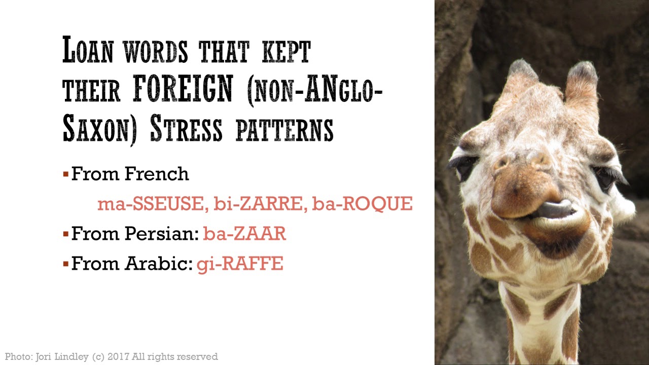 Word Stress Patterns In English YouTube word-stress-patterns-in-english-youtube