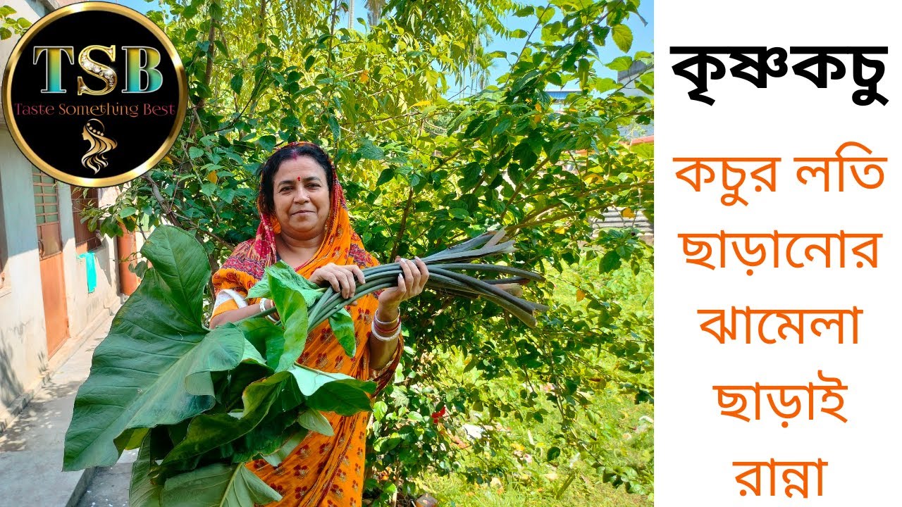 Kochu pata recipe।। Kochu shak recipe।।কচু রান্নার রেসিপি।। কচু শাক ...