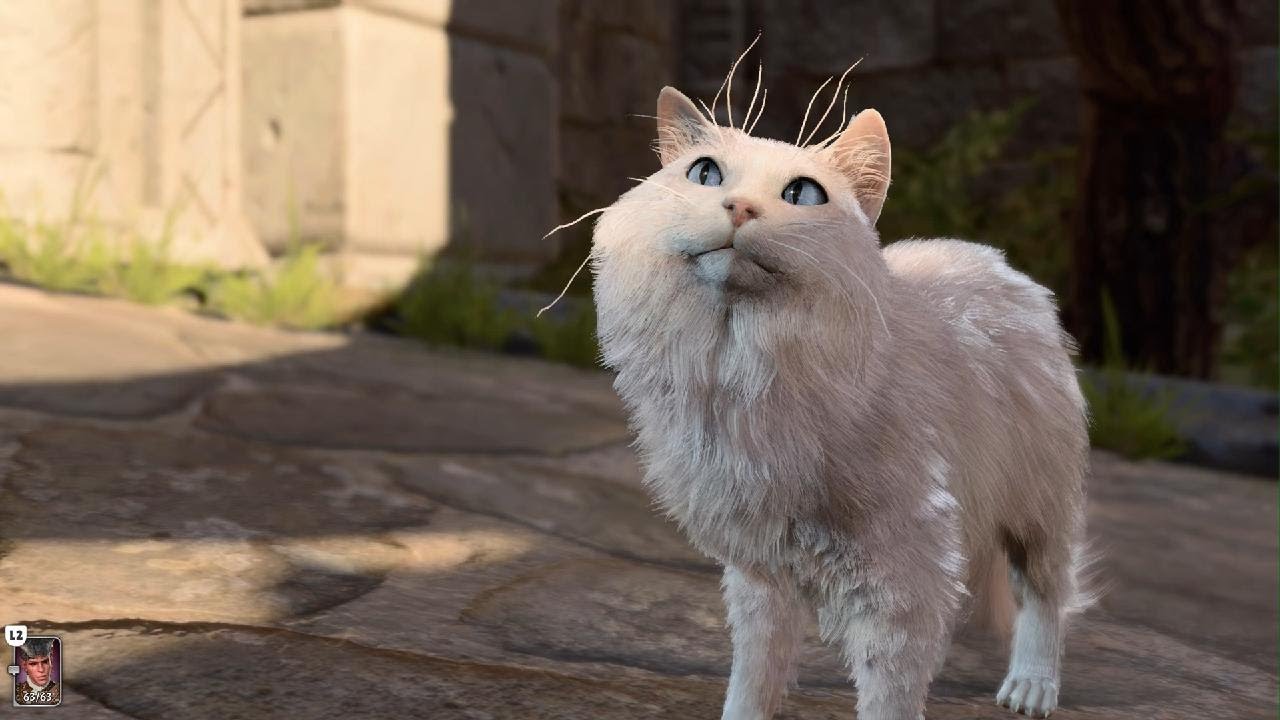 BG3 Bonecloak adopts Myshka - YouTube