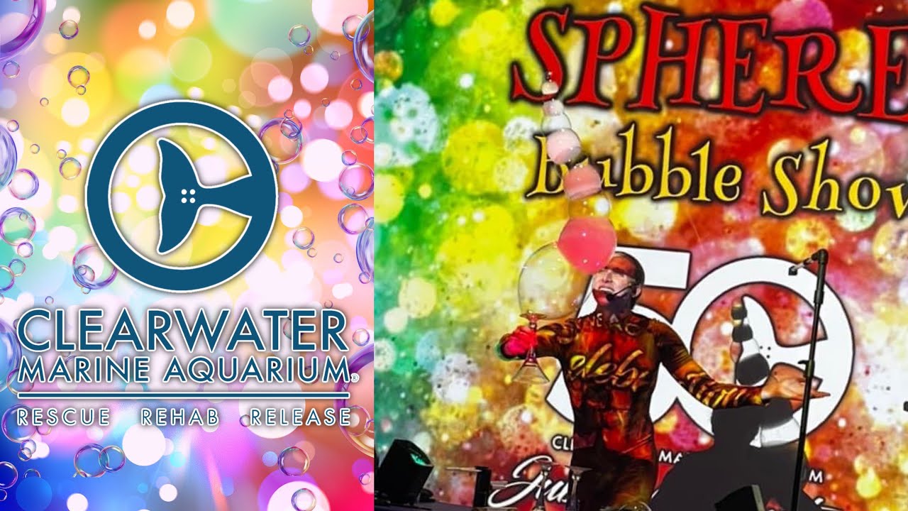 Spheres Bubble Show LIVE At The Clearwater Marine Aquarium! - YouTube